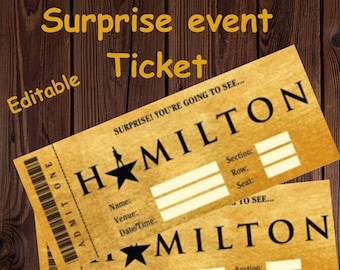 Printable HAMILTON Broadway Surprise Ticket. Editable Musical Theatre Faux Event Admission ...