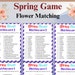 Spring Flower Matching Game, Printable Spring Flower Matching Game ...