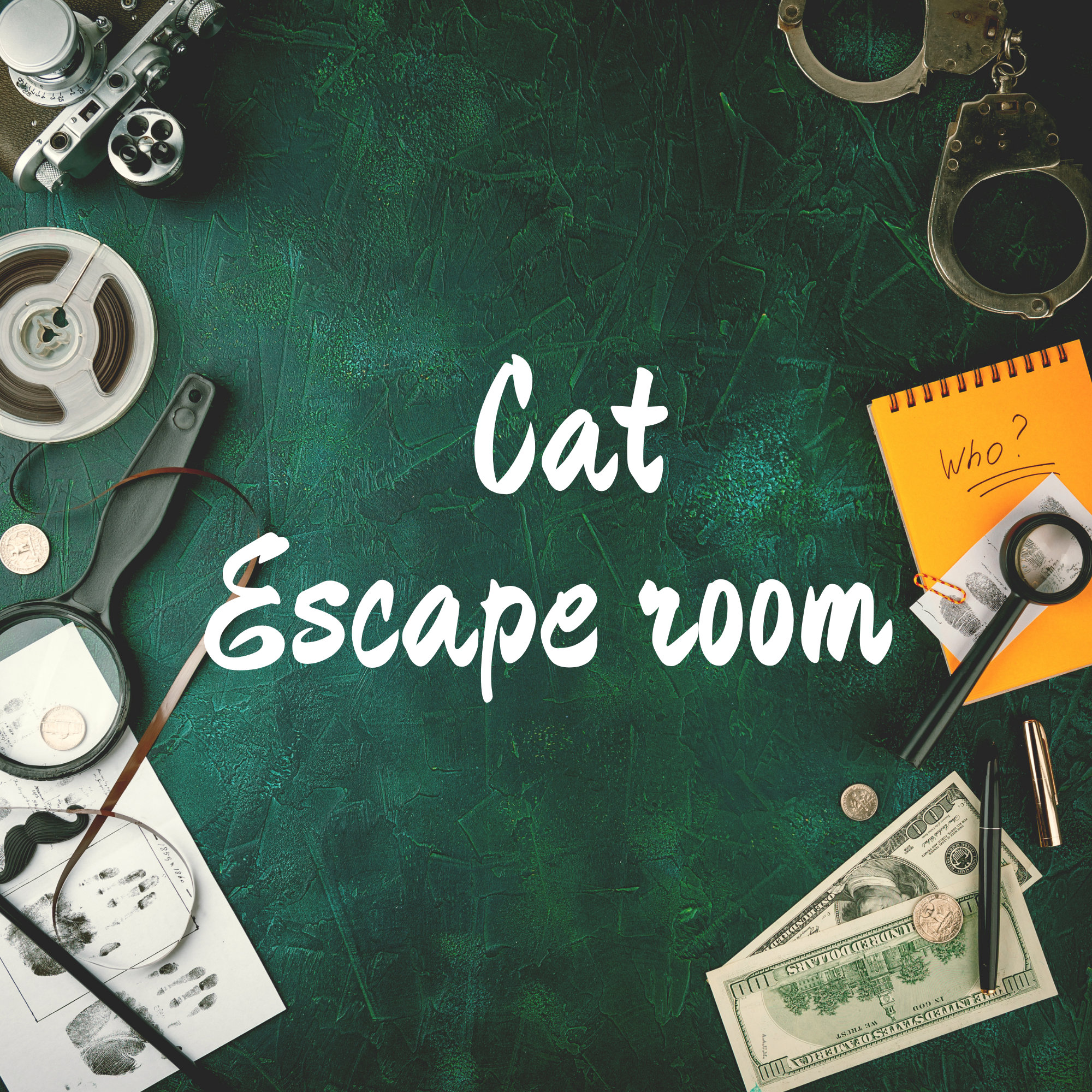 Printable Cat Cafe Escape Room, DIY Party Game (instant Download) - Etsy