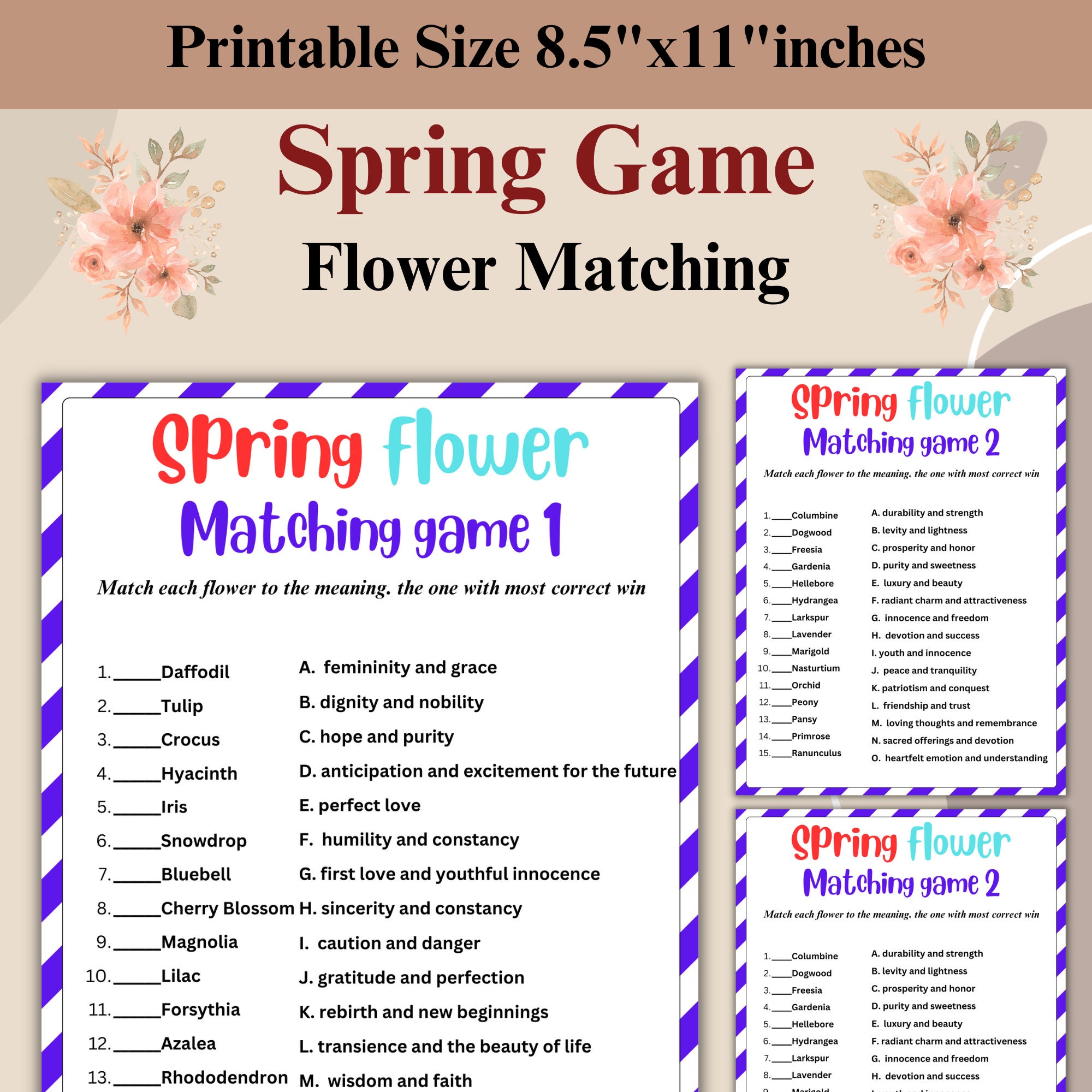 Spring Flower Matching Game, Printable Spring Flower Matching Game ...
