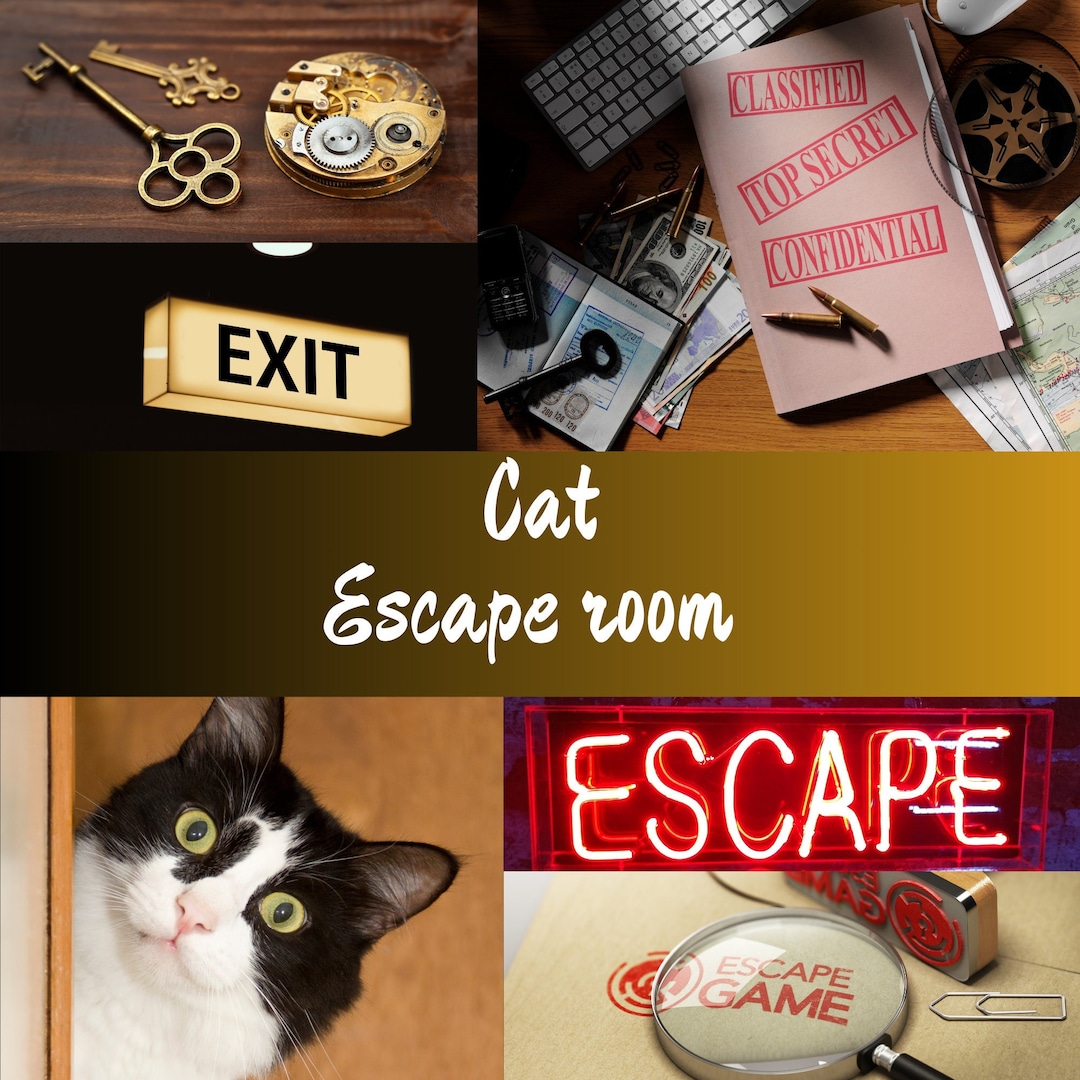 Cat Escape Room for Kids and Adult | Kitten Escape Room | Cat Printable ...