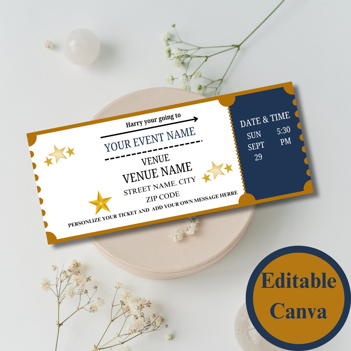Event Ticket Template, EDITABLE DIY Event Printable, Surprise Getaway Invitation, Editable Canva ...