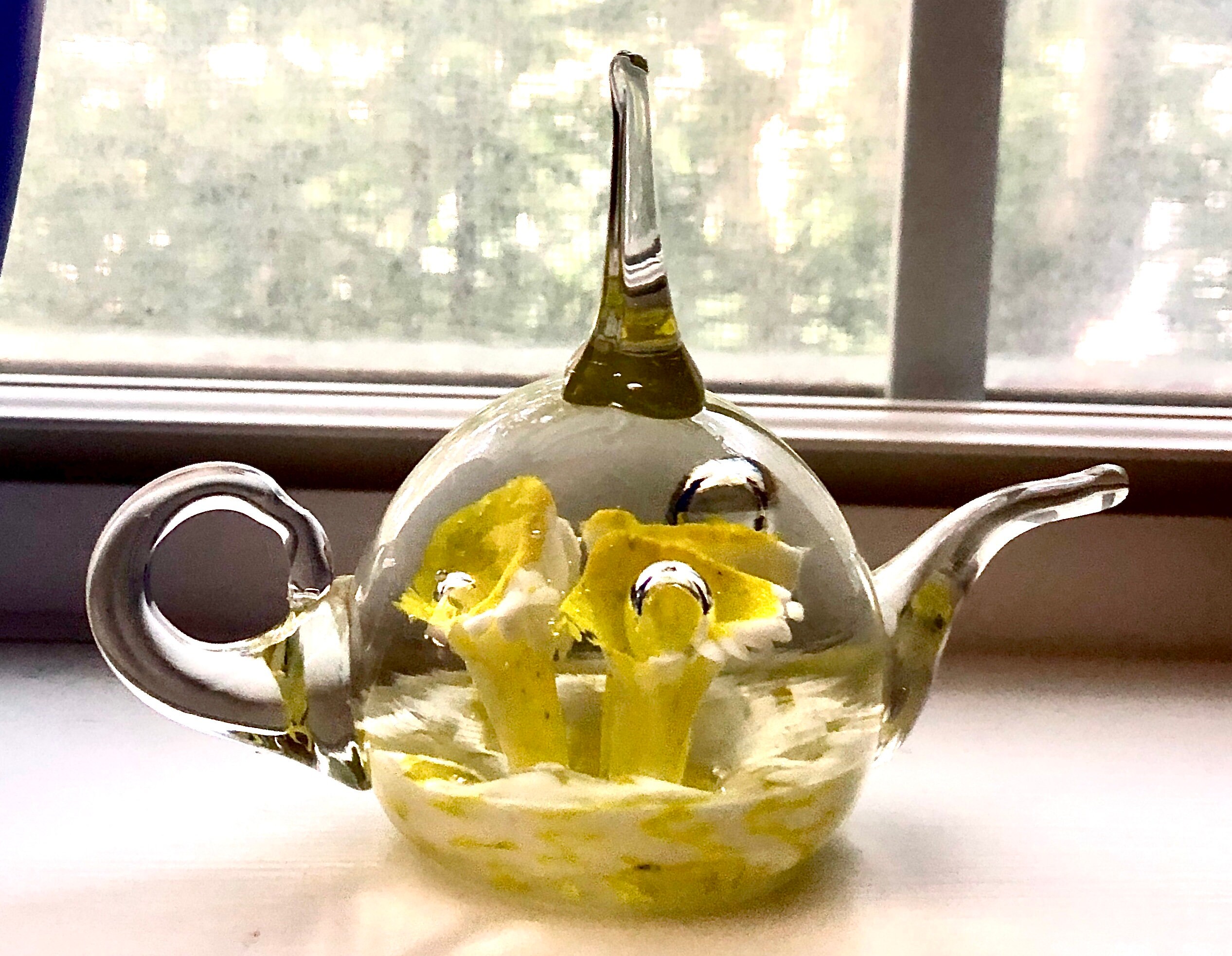 Mayflower Flower Yellow