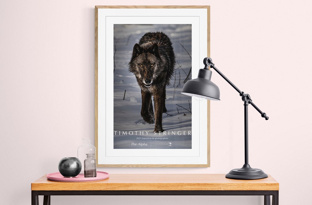 Timothy Stringer the Alpha Art Exhibition Style Posters 5 Files/5 Sizes ...