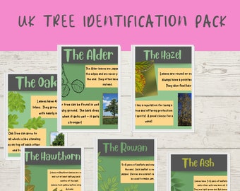 Tree Leaves Identification Poster - British Species - Etsy UK