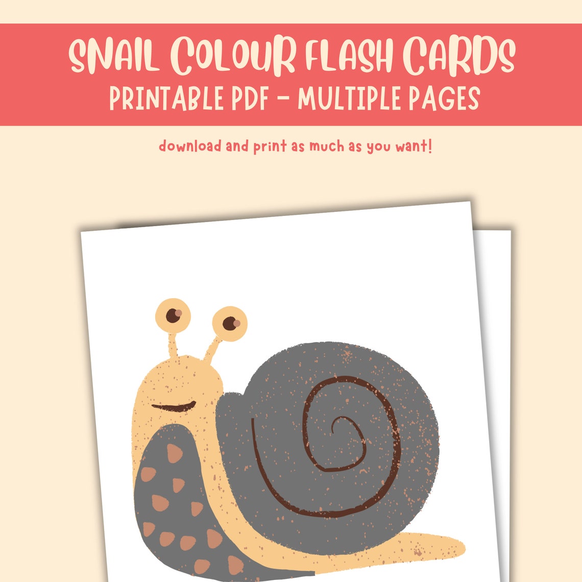 Snail Colour Flashcards - Etsy
