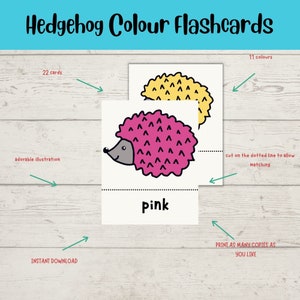 Hedgehog Colour Flashcards - Etsy