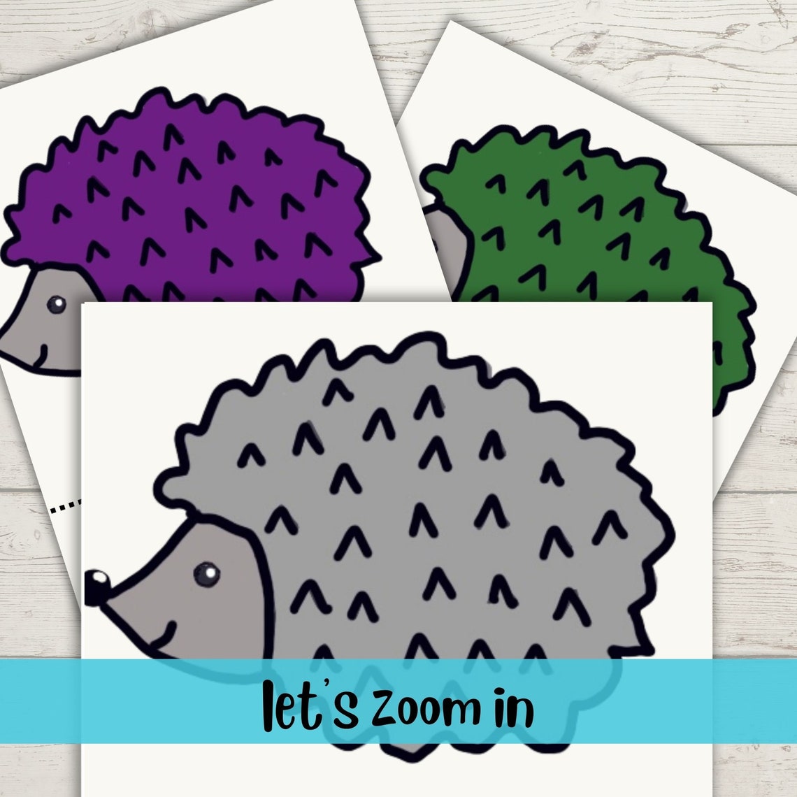 Hedgehog Colour Flashcards - Etsy
