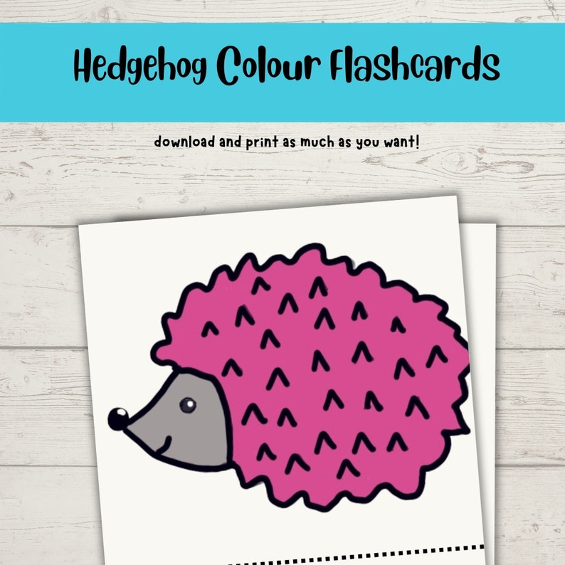 Hedgehog Colour Flashcards - Etsy