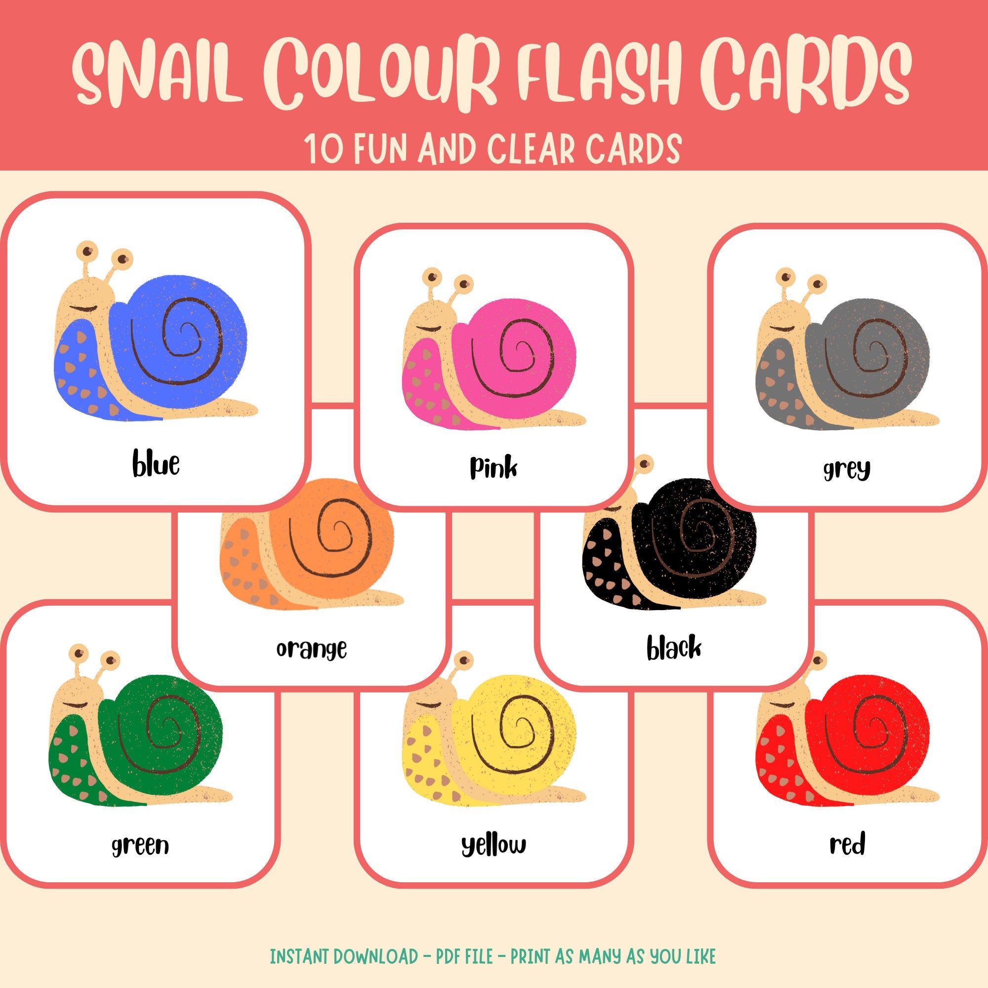 Snail Colour Flashcards - Etsy