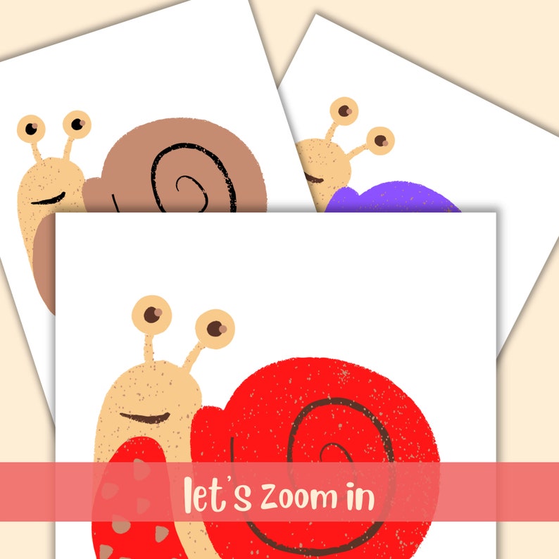 Snail Colour Flashcards - Etsy