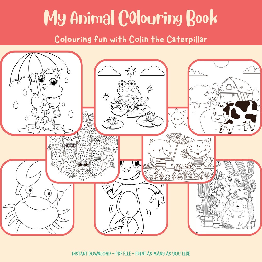My Animal Colouring Book - Etsy