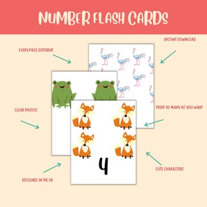 Number Flashcards|printable|preschool|kindergarten|pdf|classroom|animal ...