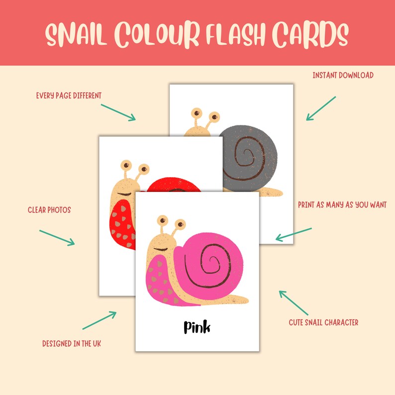 Snail Colour Flashcards - Etsy