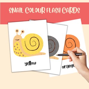 Snail Colour Flashcards - Etsy