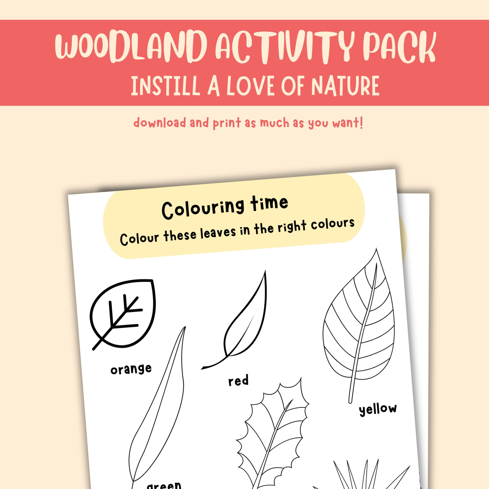 Woodland Activity Pack for Early Years and Key Stage One. Woodland ...