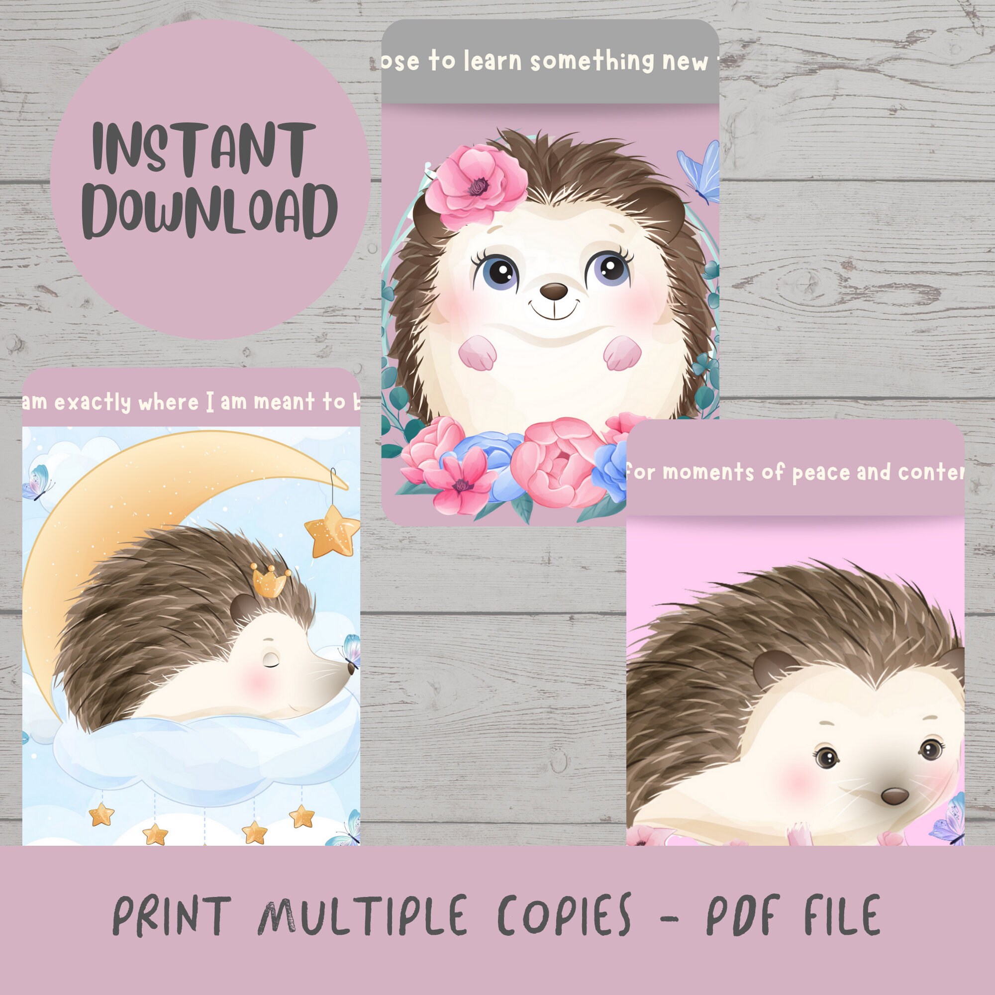 Hedgehog Affirmation Cards - Etsy