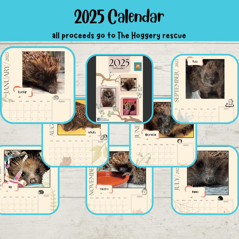 Charity Calendar - Etsy