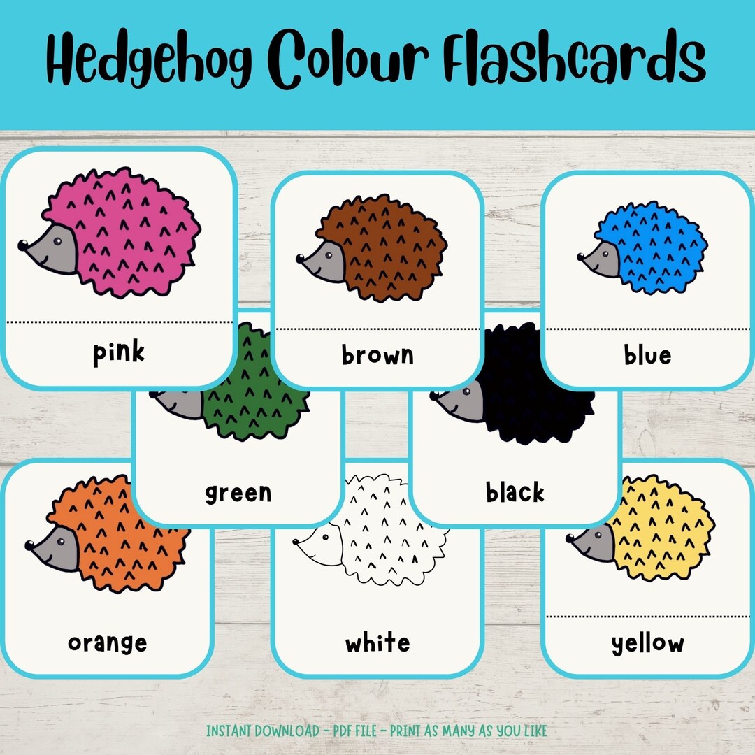 Hedgehog Colour Flashcards - Etsy