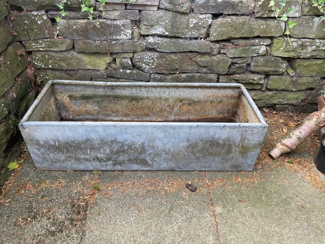 Galvanised Troph - Etsy