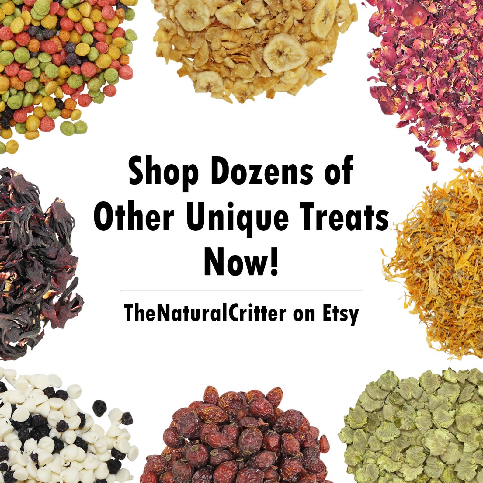 Knick Knack Rolling Toy Small Pet Interactive Toy for Guinea - Etsy