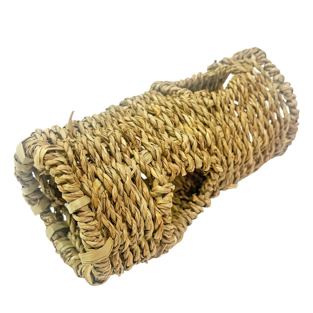 Seagrass Exploration Tunnel Fun & Unique Toy for Hamsters, Gerbils ...