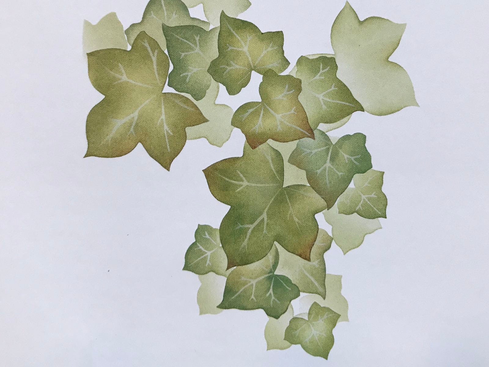 English Ivy Stencil - Etsy