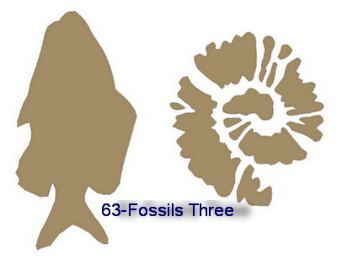 Fossil Stencil (#3) - Etsy