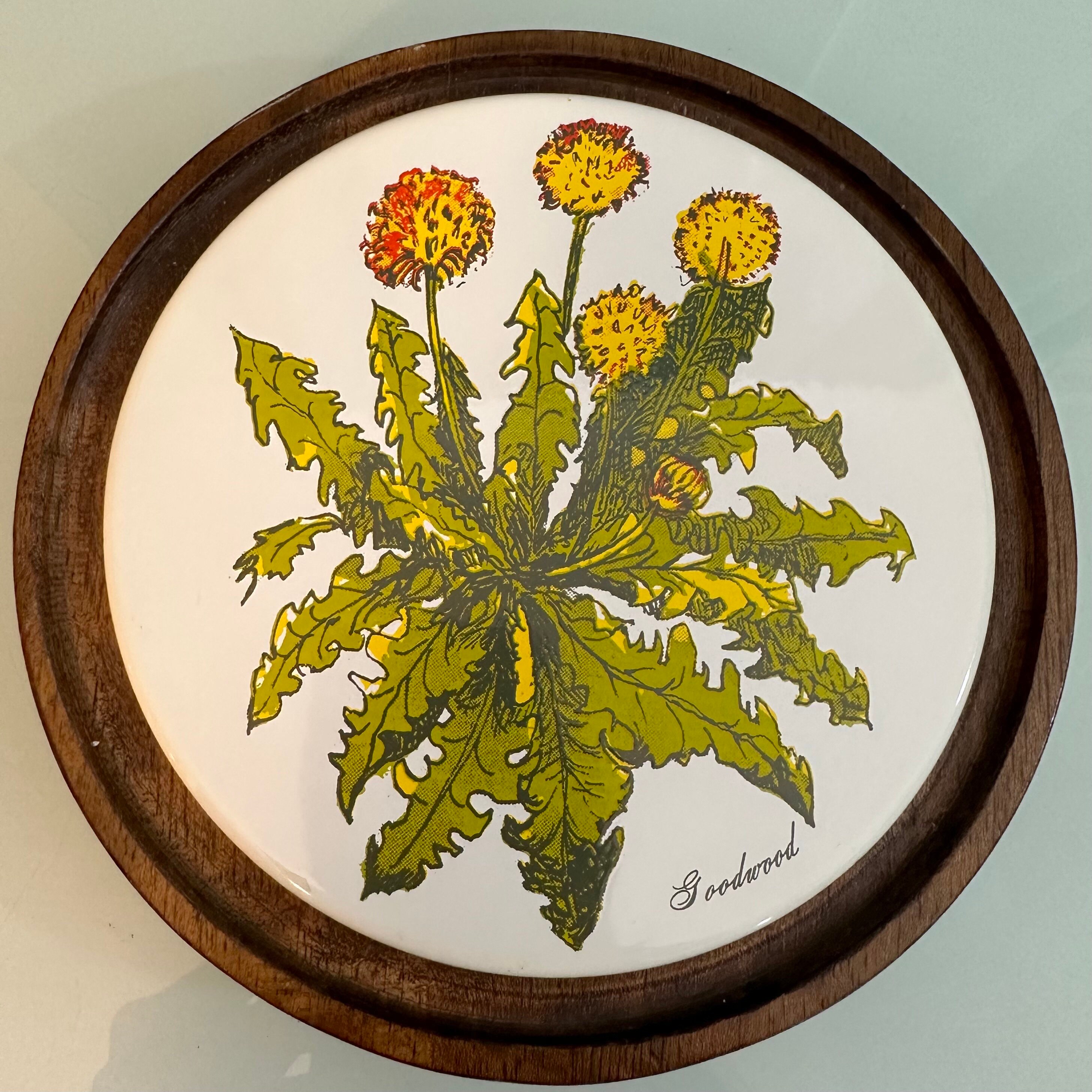 1970s Goodwood Dandelion Cheese Tray Dome Charcuterie Cheese - Etsy