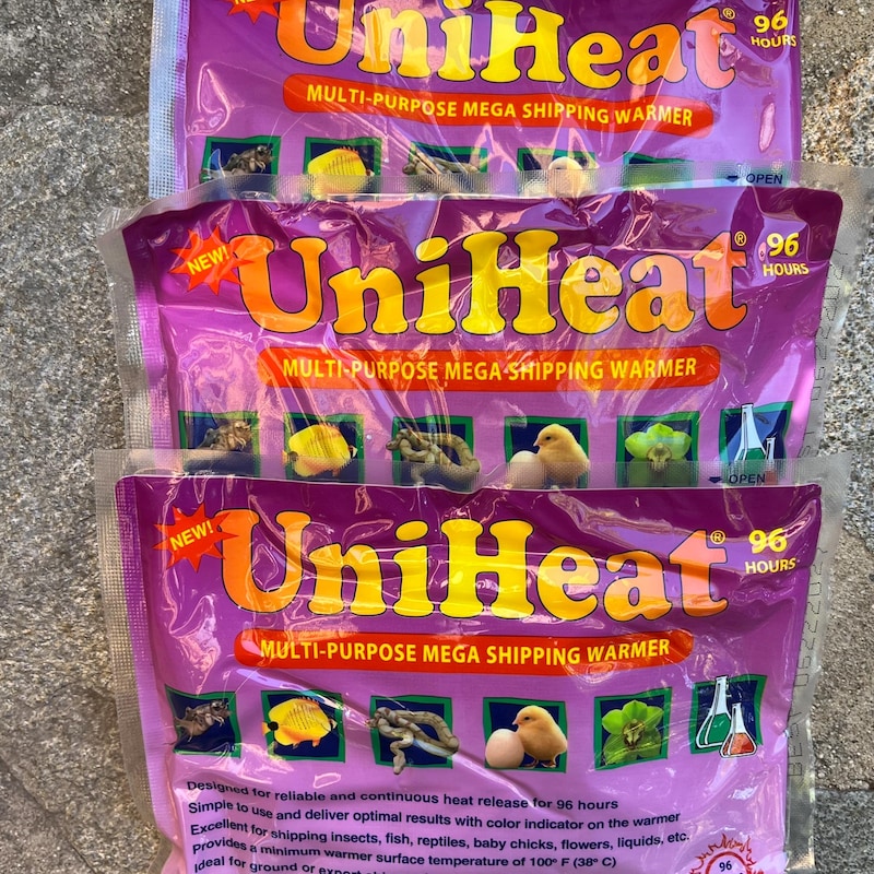 Easter Plant Items - Etsy