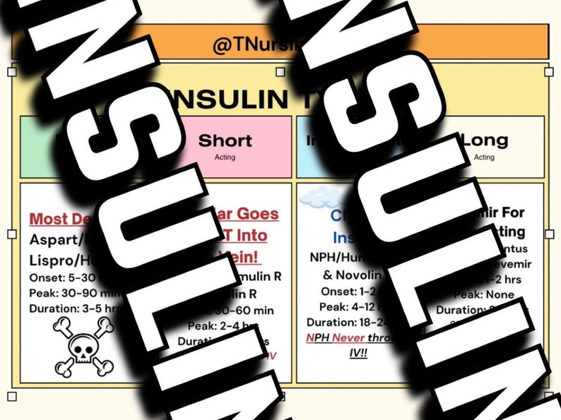 Insulin Types for Nursing Students - Etsy