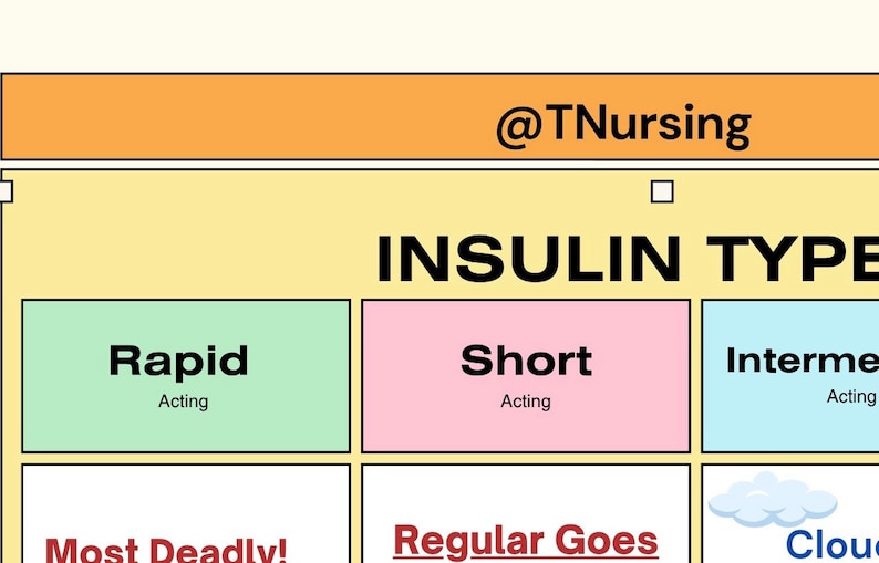 Insulin Types for Nursing Students - Etsy