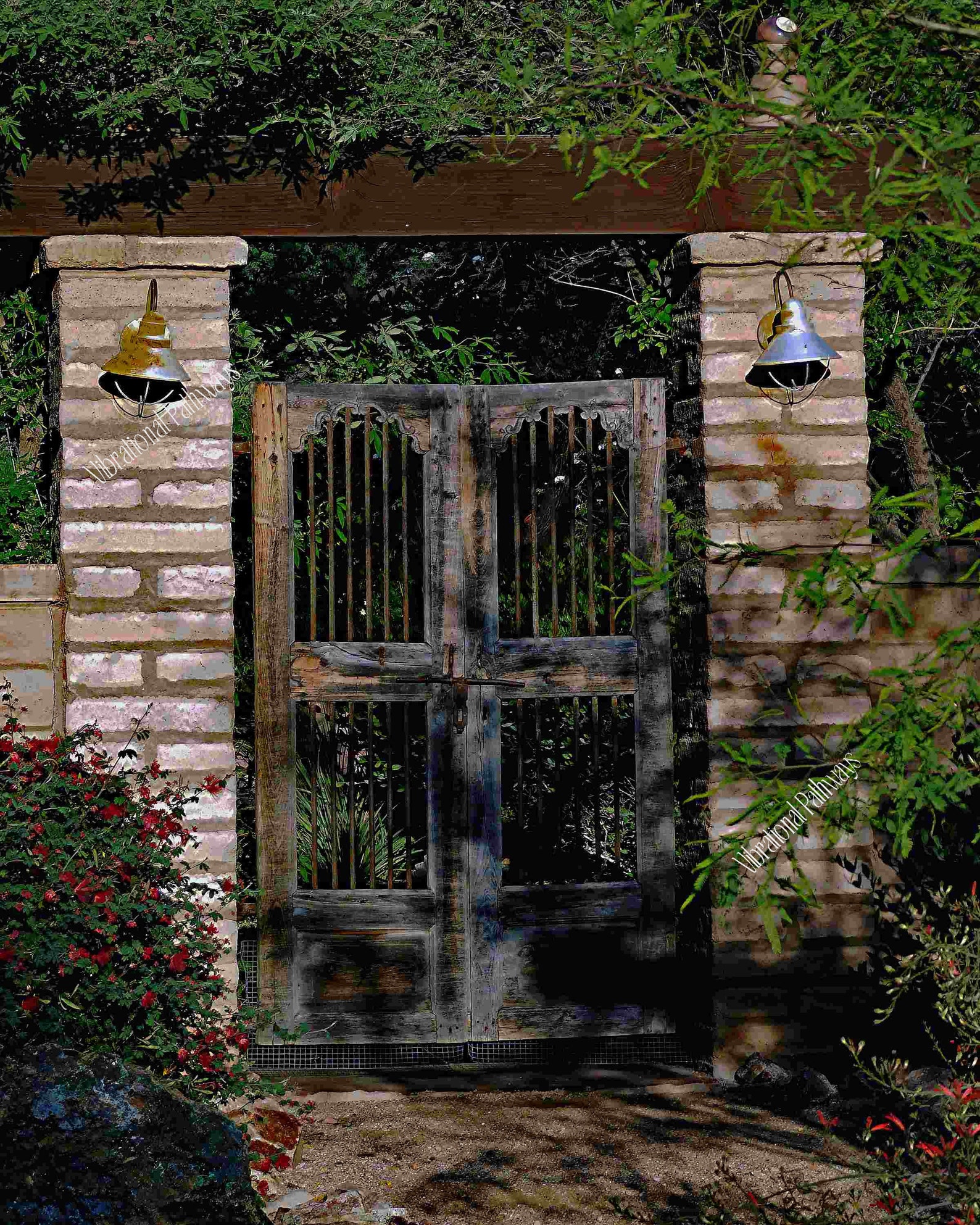 Old Garden Gate, Tucson, AZ - Etsy