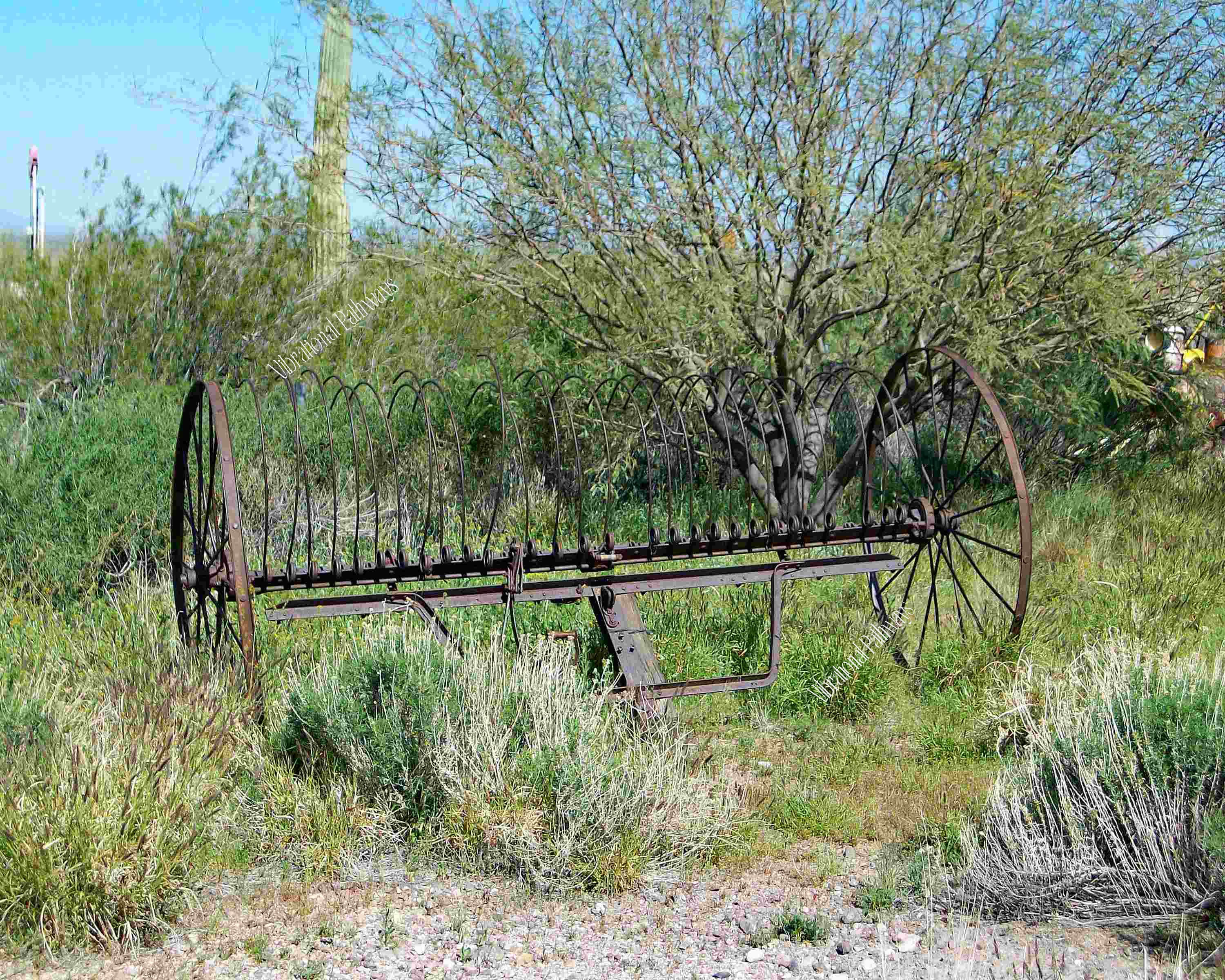 Antique Hay Rake at Picacho Peak State Park AZ - Etsy