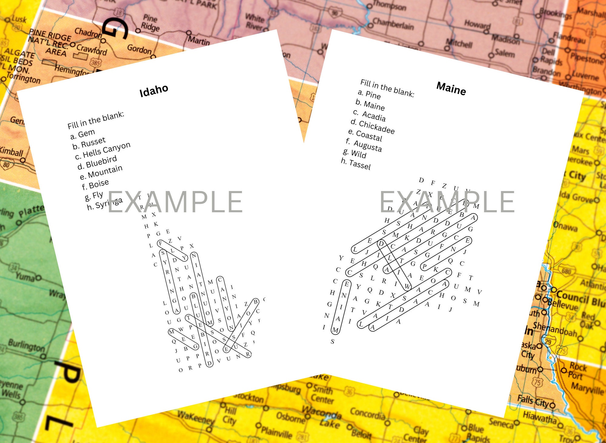 Learn the States of America! Fill in the Blank and Word Search, in the ...