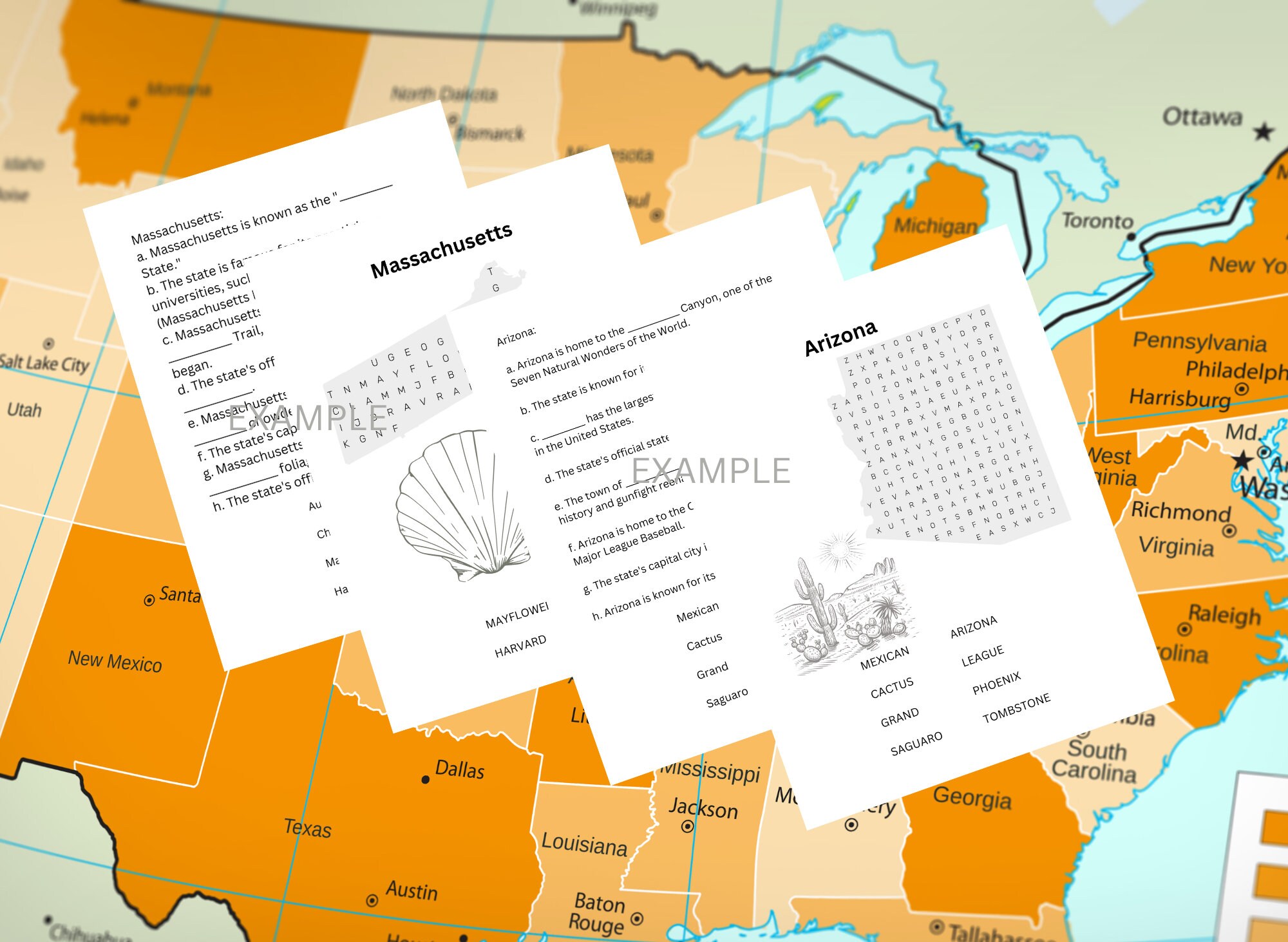 Learn the States of America! Fill in the Blank and Word Search, in the ...