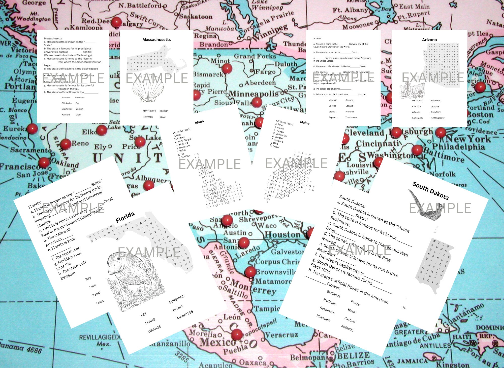 Learn the States of America! Fill in the Blank and Word Search, in the ...