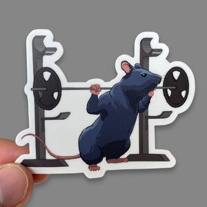 Gym Rat Squat Sticker Bodybuilding Sticker Workout Sticker Gym Rat - Etsy