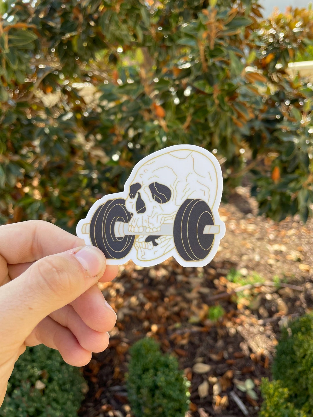 Gym Skull Sticker Skull Fitness Sticker Gym Sticker Fitness Sticker - Etsy