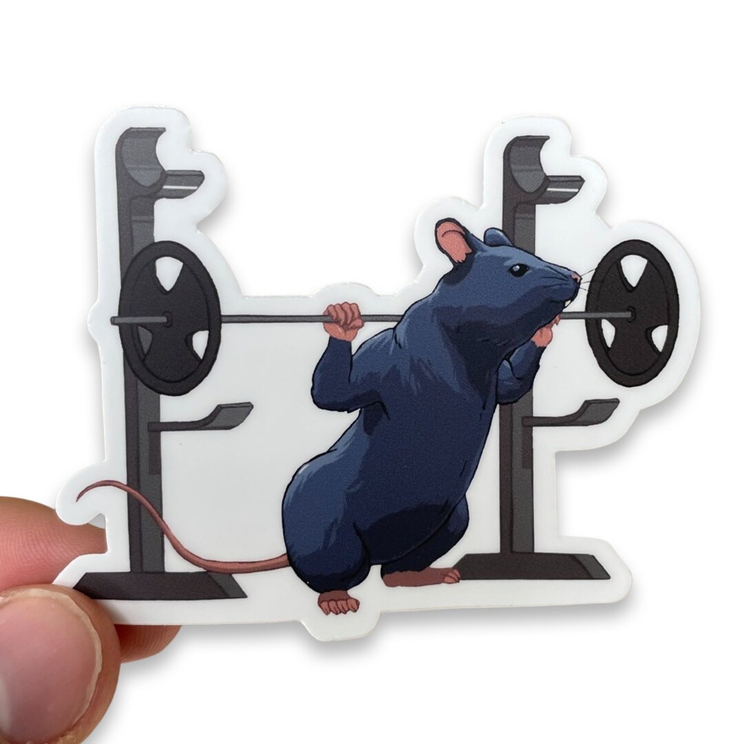 Gym Rat Squat Sticker Bodybuilding Sticker Workout Sticker Gym Rat - Etsy