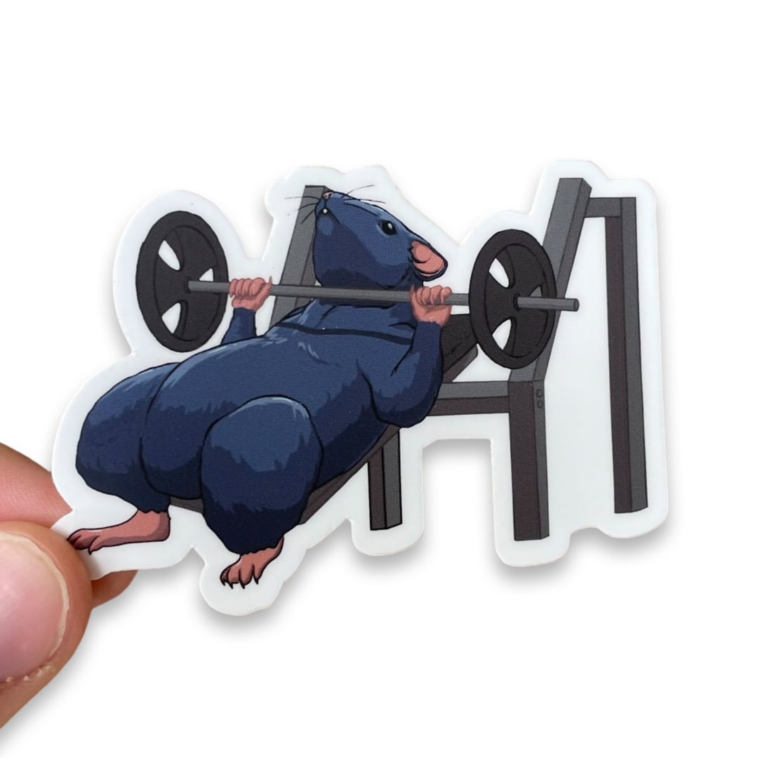 Gym Rat Bench Press Sticker | Workout Sticker | Bodybuilding Sticker ...