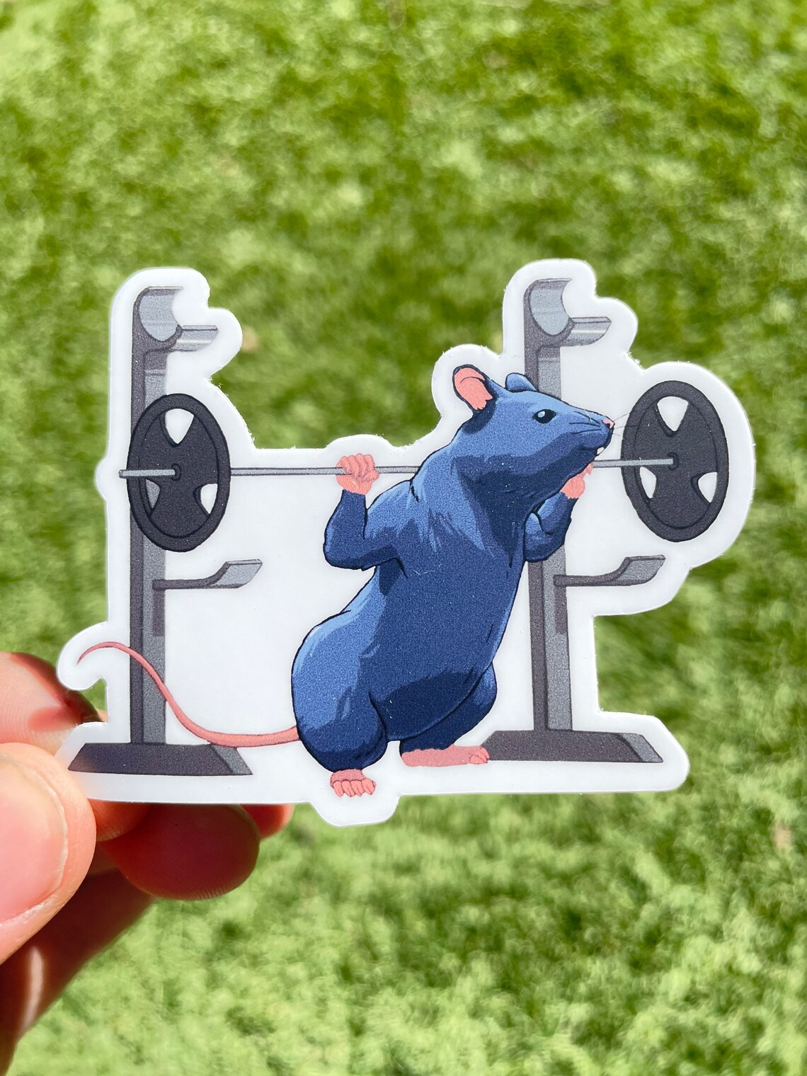 Gym Rat Squat Sticker Bodybuilding Sticker Workout Sticker - Etsy