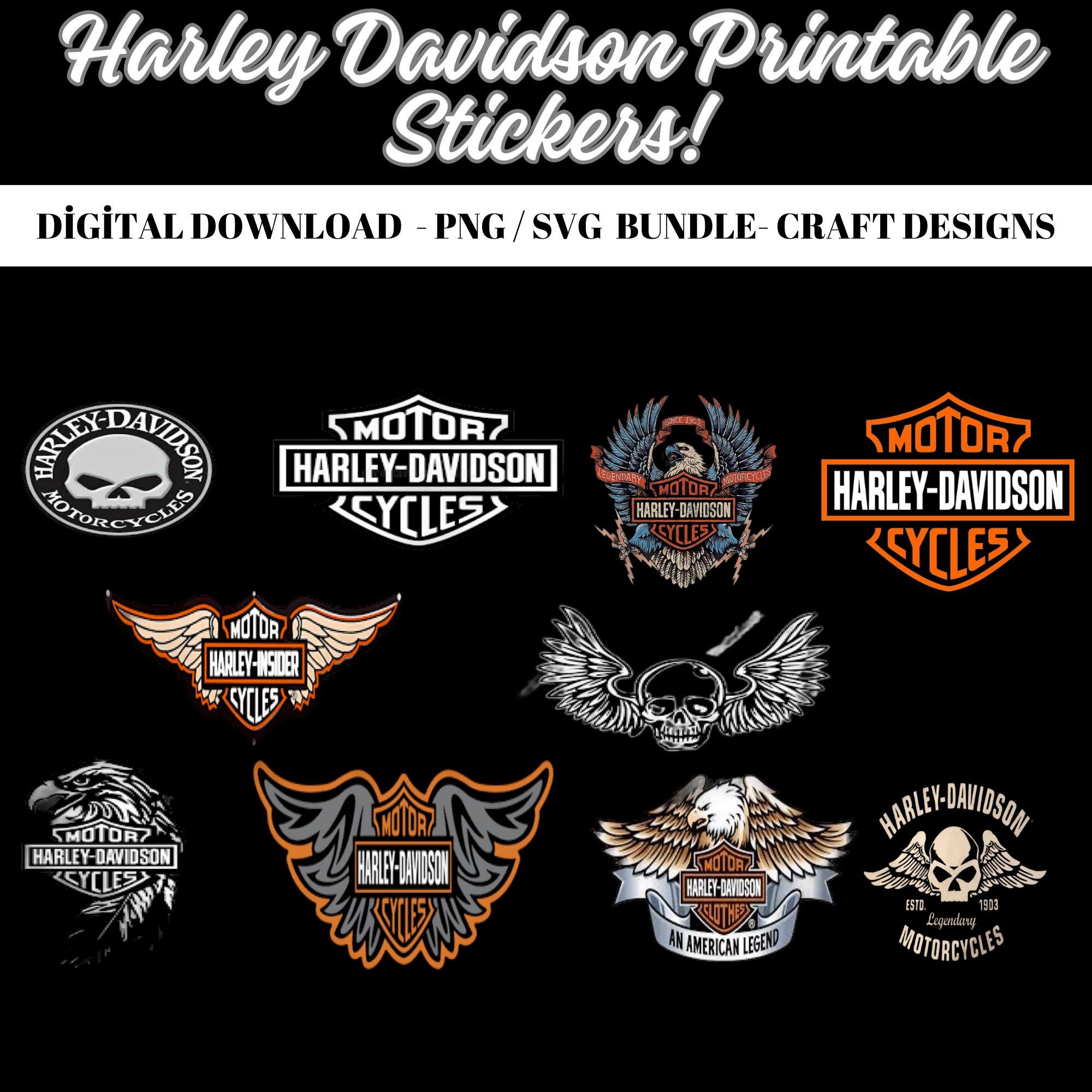 Harley Davidson Skull Logo Vector
