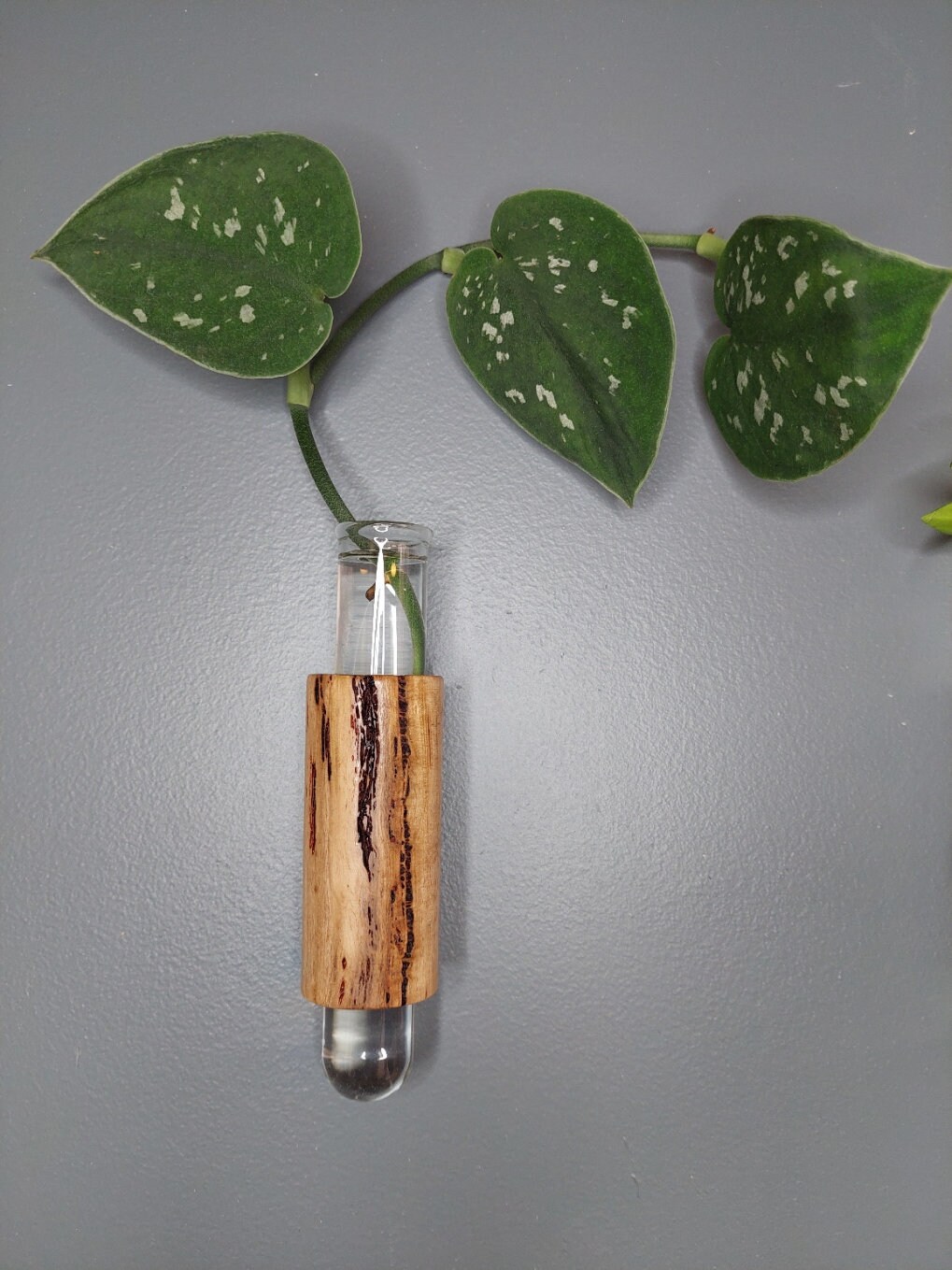 Set of 3. Wooden Wall Hanging Vase, Wall Décor - Etsy