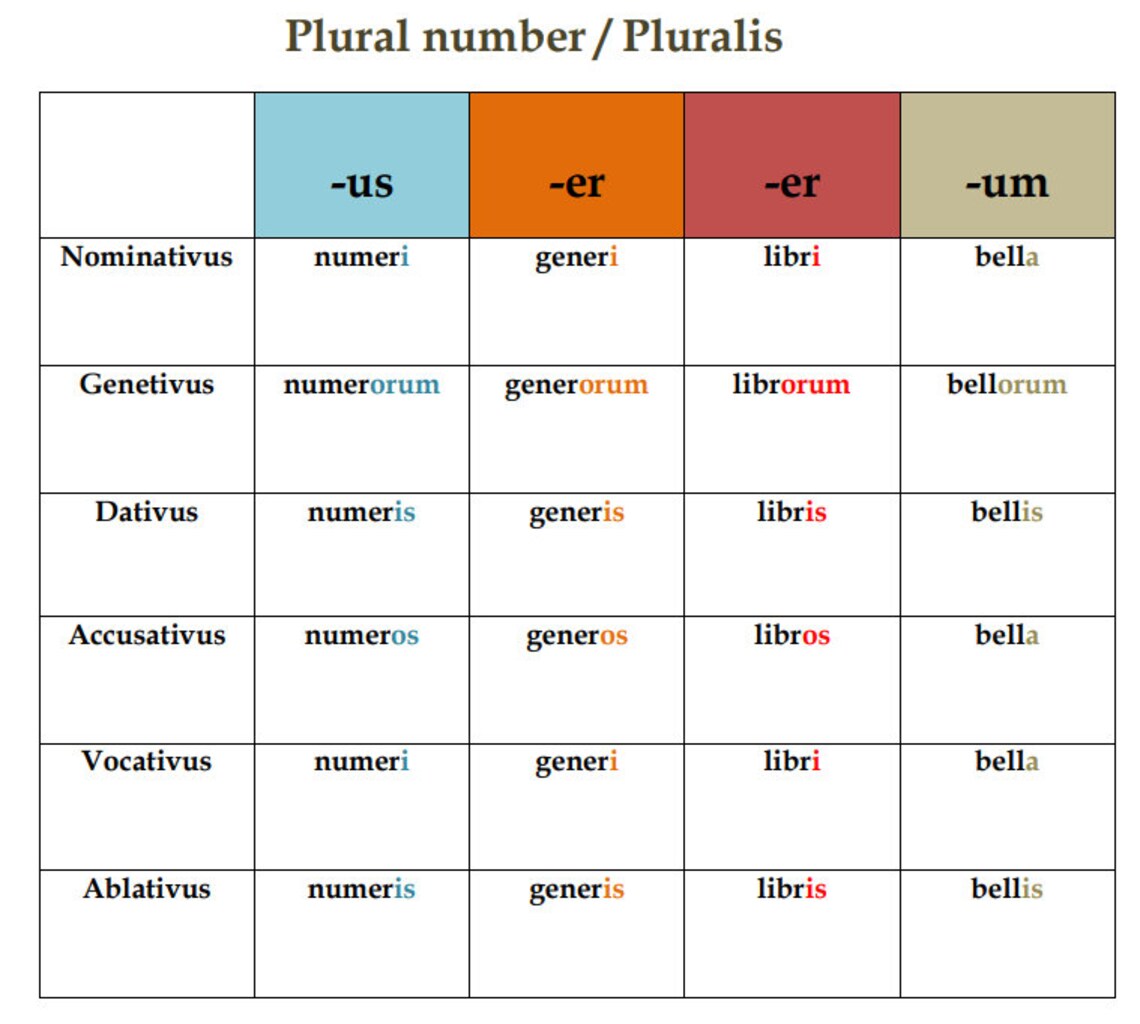 Latin Regular Nouns Conjugation/declension Chart | Latin Grammar ...