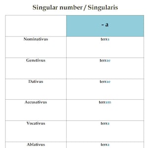 Latin Regular Nouns Conjugation/declension Chart | Latin Grammar ...