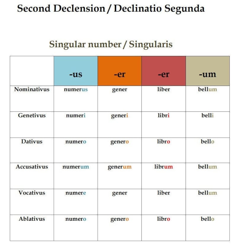 Latin Regular Nouns Conjugation/declension Chart | Latin Grammar ...
