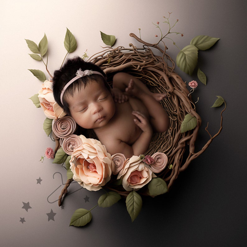 Newborn Digital Backdrop, Nest With Roses_printable DOWNLOAD - Etsy