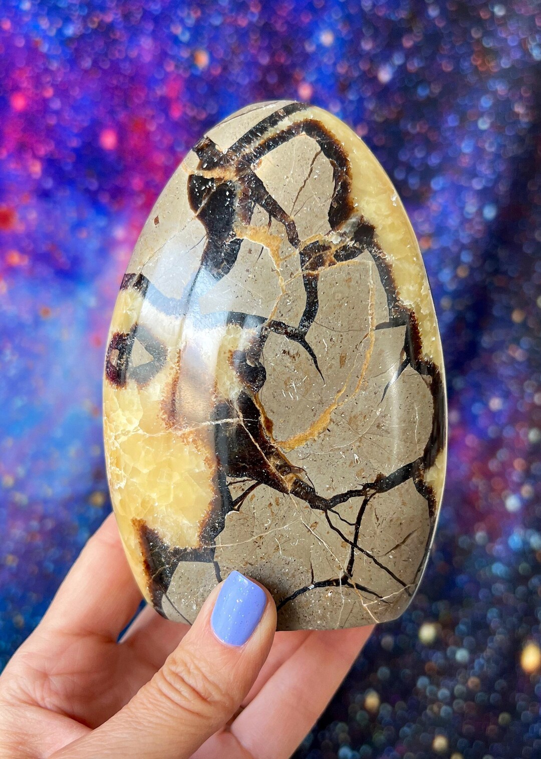 1.13lb UV Reactive Septarian Dragon Freeform - Etsy