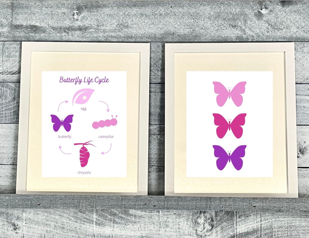 Butterfly Life Cycle Wall Art Printable - Etsy